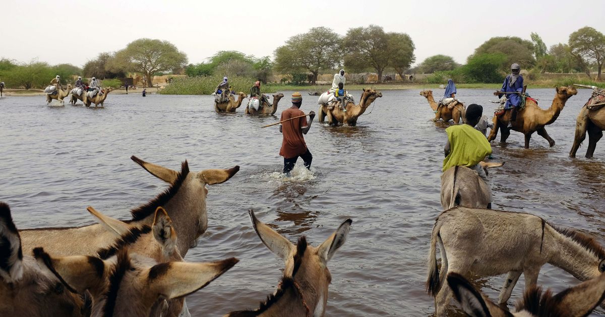 Boko Haram and the Alleged Disappearance of Lake Chad - Megatrends Afrika
